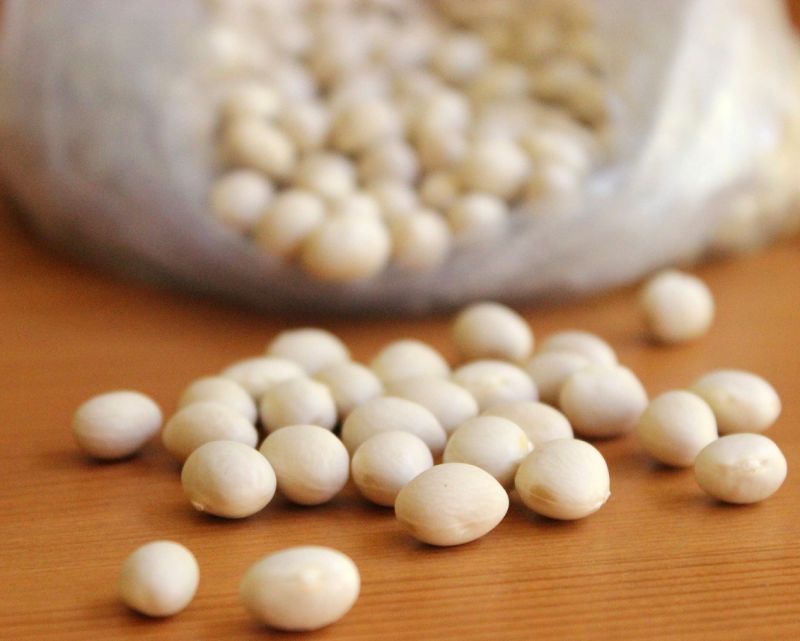 Storia e proprietà fagioli bianchi di Rotonda DOP