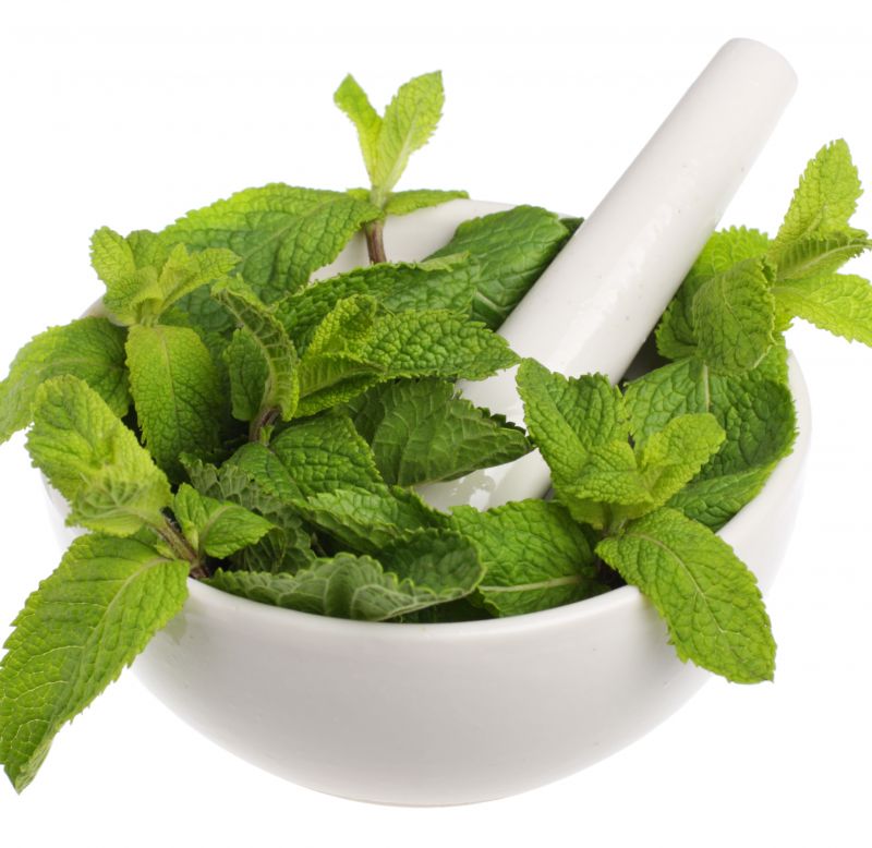 5 motivi per consumare la menta