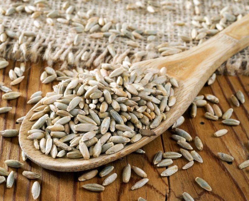 5 motivi per mangiare segale