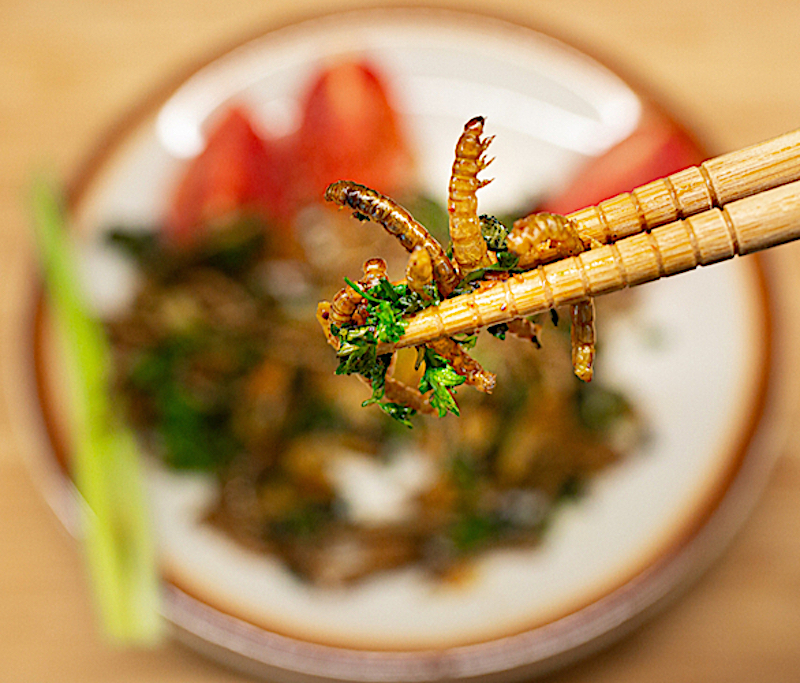 5 motivi per mangiare insetti