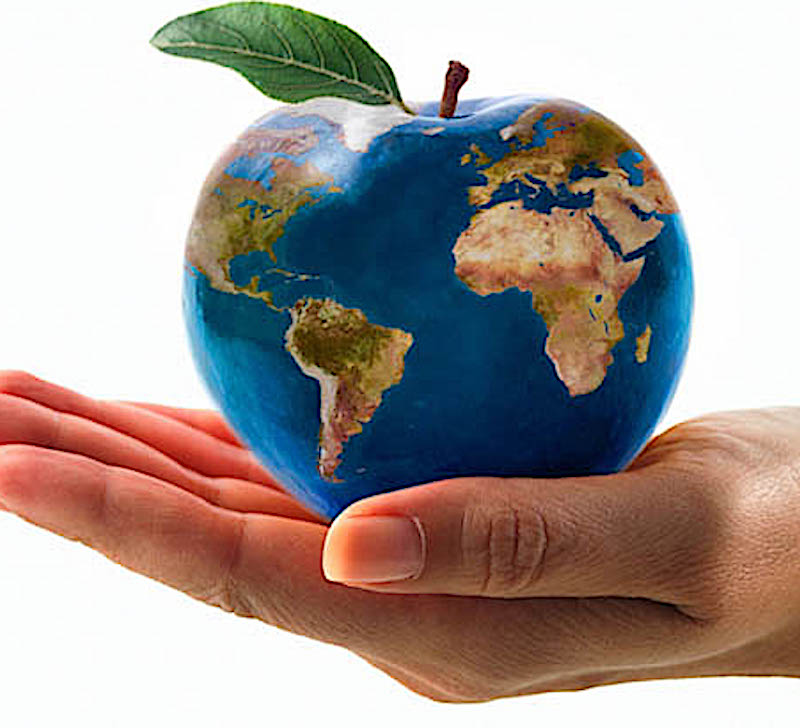 Gastrosofia: la metafora della mela