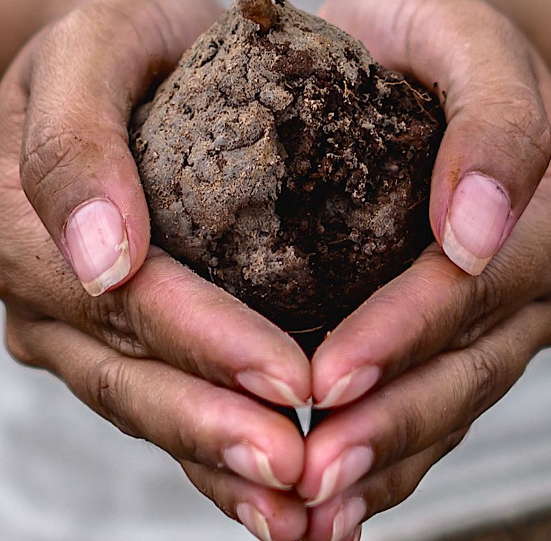 Antropologia alimentare: la geofagia