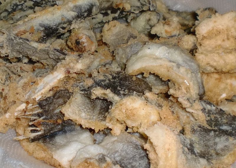 Ricetta Anguille fritte (aschipescia)