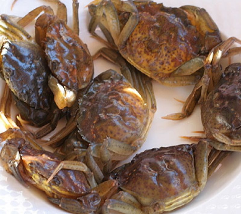 Ricetta Moèche frite (Moleche fritte)